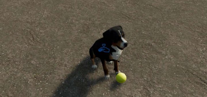 Pack Water Plane v1.0 - FS22 Mod