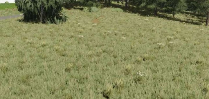 Farming Simulator 22 Textures mods | FS22 Textures mods