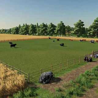 Open Cow Pasture v1.0.0.0 - FS25 / FS22 Mod