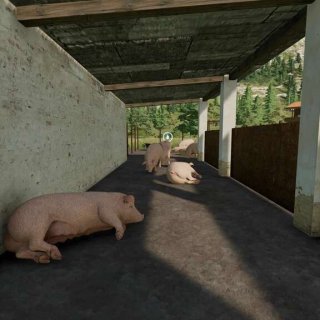 Homestead Pig Barn v1.0.0.0 - FS25 / FS22 Mod