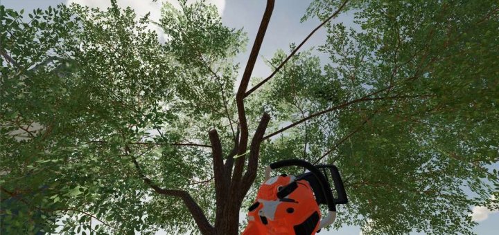 Farming Simulator 22 Other mods | FS22 Other mods