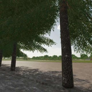 Tree Growth Manager v1.0 - FS25 / FS22 Mod