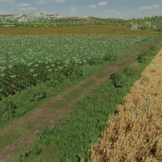 Beyleron Farming Multi Fruit Map - FS25 / FS22 Mod