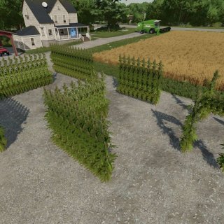 DIY Cannabis Maze v1.0 - FS25 / FS22 Mod