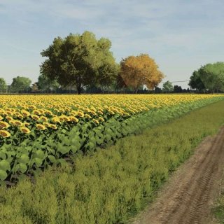 Erdevik Map 2022 v1.0.0.0 - FS25 / FS22 Mod