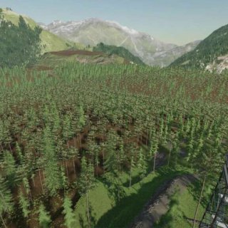 Bear Rock Logging map v1.0.0.2 - FS25 / FS22 Mod