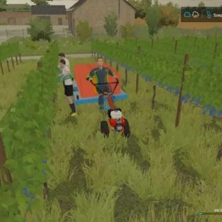 Grape Harvest With Workers v1.1.0.0 - FS25 / FS22 Mod