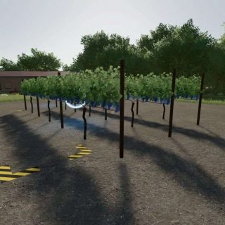 Red and White Grapes Orchards v1.1.1.1 - FS25 / FS22 Mod