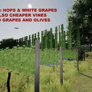 Rogatki Edit (Multifruit and Production) Map v2.8.0.0 - FS25 / FS22 Mod