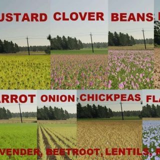 Rogatki Edit (Multifruit and Production) Map v2.8.0.0 - FS25 / FS22 Mod