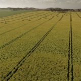 Aussie Farms 22 V1.0.0.0 - FS25 / FS22 Mod