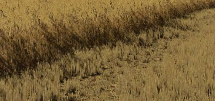 Farming Simulator 22 Textures mods | FS22 Textures mods