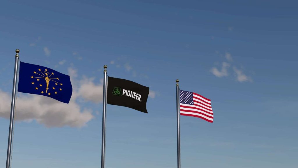 Decorative Flags v1.0.0.0 - FS25 / FS22 Mod