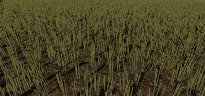 Farming Simulator 22 Textures mods | FS22 Textures mods
