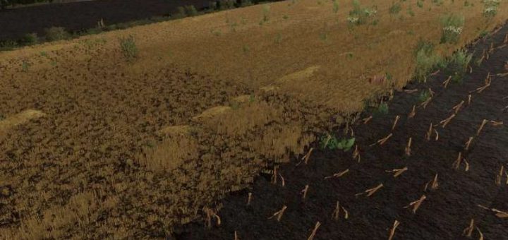 Farming Simulator 22 Textures mods | FS22 Textures mods