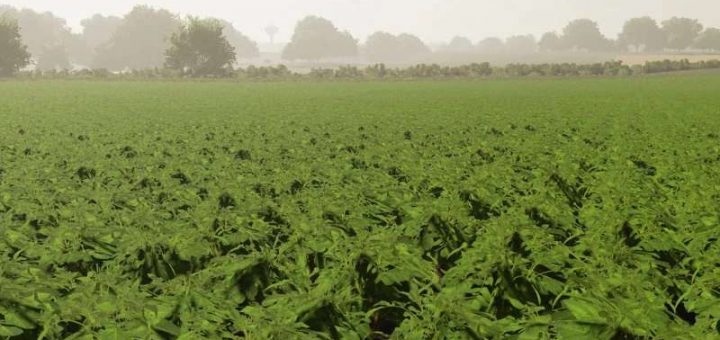 Farming Simulator 22 Textures mods | FS22 Textures mods