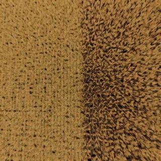 Visible Manure texture on stubble v1.0.0.0 - FS25 / FS22 Mod