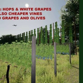 Court Farms Multifruit Edit BETA v1.1.0.0 - FS25 / FS22 Mod