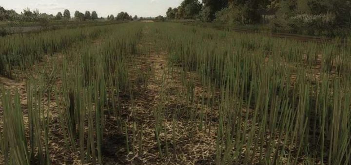 Farming Simulator 22 Textures mods | FS22 Textures mods