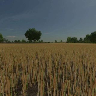 Realistic Canola Growth v1.0.0.0 - FS25 / FS22 Mod