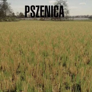 Stubble Texture (Wheat/Barley) v1.0.0.0 - FS25 / FS22 Mod