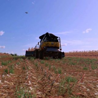 New corn texture with more real effects v1.0.0.0 - FS25 / FS22 Mod