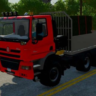 Phoenix Flatbed/Salt Truck v1.0.0.0 - FS25 / FS22 Mod