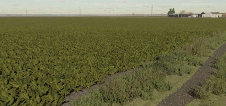 Farming Simulator 22 Textures mods | FS22 Textures mods