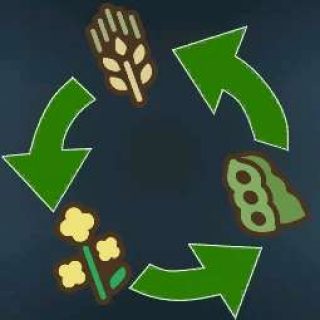 CropRotation + (additional crops) v2.5.0.1 - FS25 / FS22 Mod