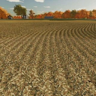 Graystone Farm (Row Crop Ready) v1.0.0.0 - FS25 / FS22 Mod