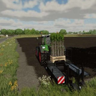 Tree Sapling Pack v1.1.0.1 - FS25 / FS22 Mod