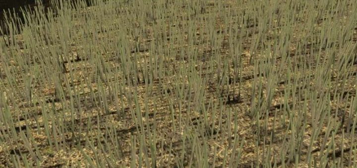 Farming Simulator 22 Textures mods | FS22 Textures mods