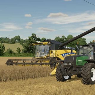 Wheat Crop Textures v1.1.0.0 - FS25 / FS22 Mod