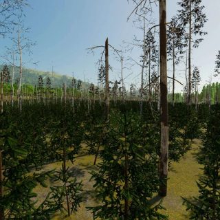 Beaver Hollow Map v1.0.1.1 - FS25 / FS22 Mod