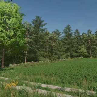 Custom Tree Textures (Prefab) v1.0.0.0 - FS25 / FS22 Mod