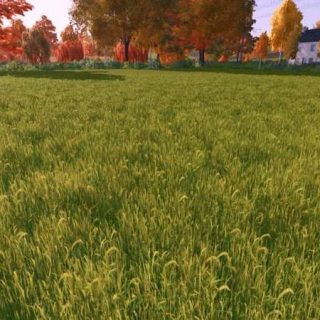 Grass Texture v1.0.0.0 - FS25 / FS22 Mod
