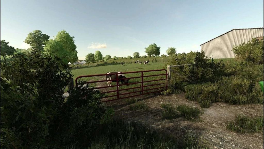 Stitzer WI v1.0.0.0 - FS25 / FS22 Mod