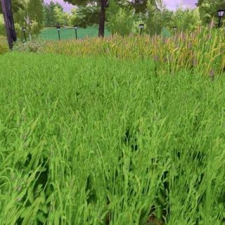 Grass texture with alfalfa v1.0.0.0 - FS25 / FS22 Mod