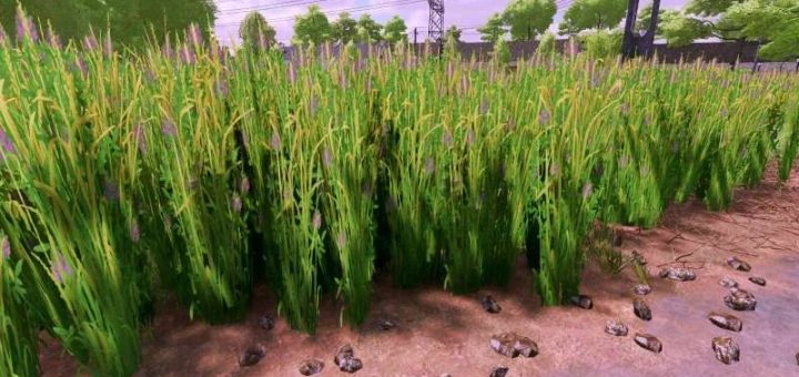 Farming Simulator 22 Textures mods | FS22 Textures mods