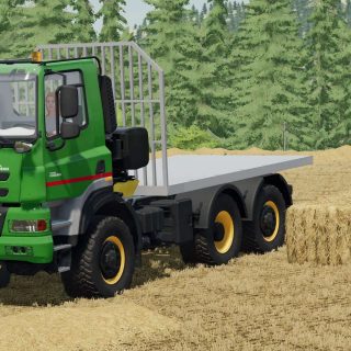 Tatra Phoenix Flatbed/Salt Truck v1.0.0.0 - FS25 / FS22 Mod