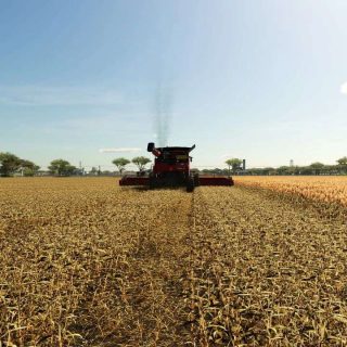 Sorghum and sunflowers foliage v1.0.0.0 - FS25 / FS22 Mod