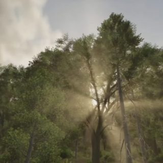 FS25: Weather, Water Effects & Engine