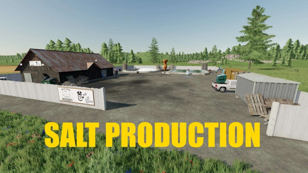 SALT PRODUCTION V1.0.0.1 - FS25 / FS22 Mod