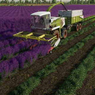 CLAAS Lavender Header Bar v1.0.0.0 - FS25 / FS22 Mod