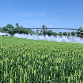 Fockink Irrigation Pivot v1.0.0.0 - FS25 / FS22 Mod