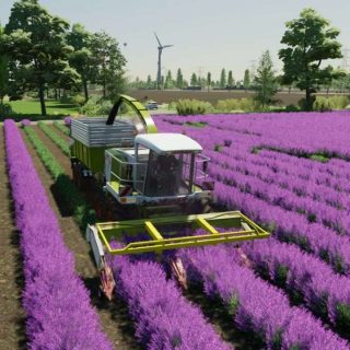 Lavender in Rows (Prefab) v1.0.0.0 - FS25 / FS22 Mod