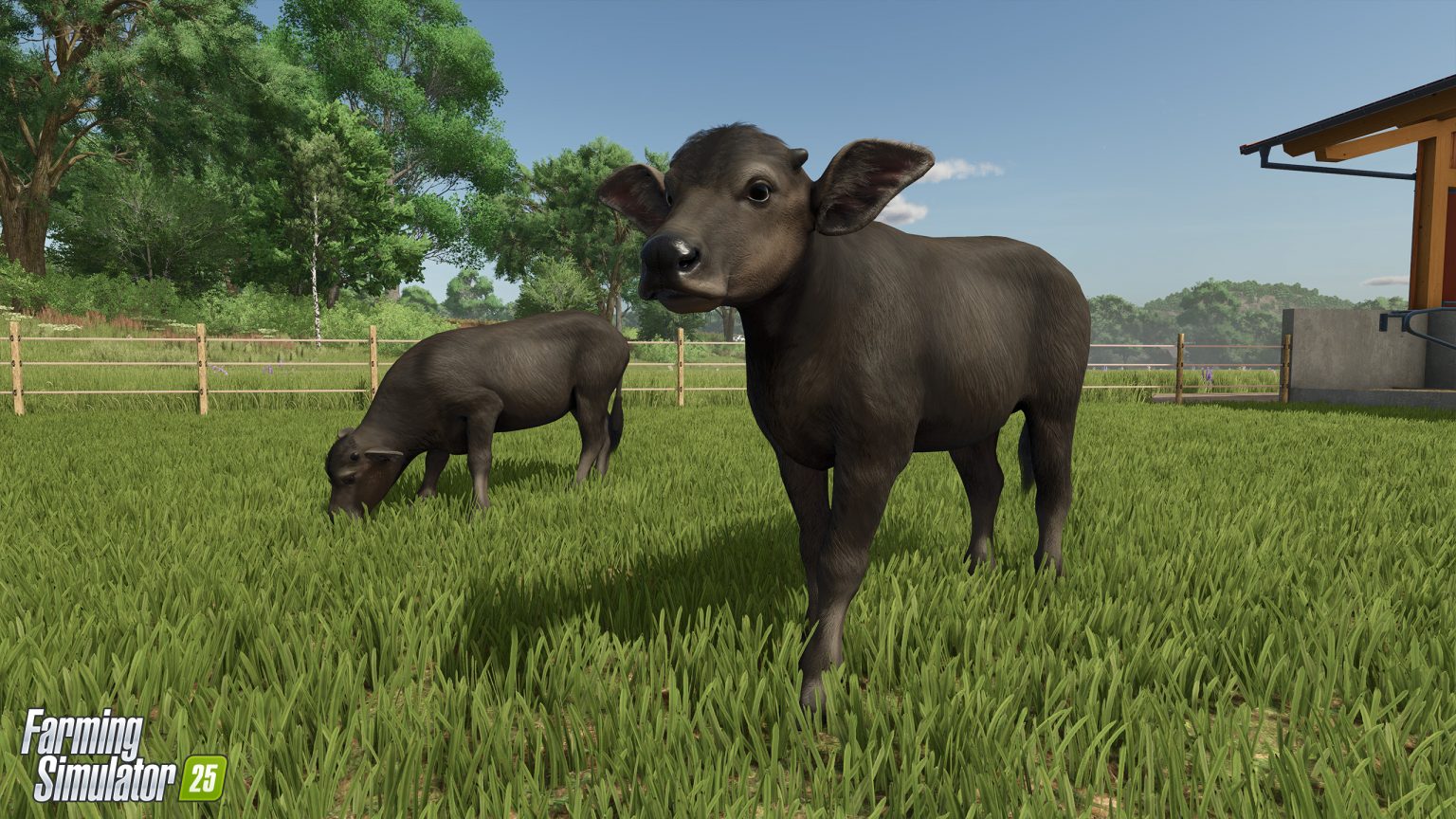 FS25 Water Buffalos + Interview with our Lead Character Artist