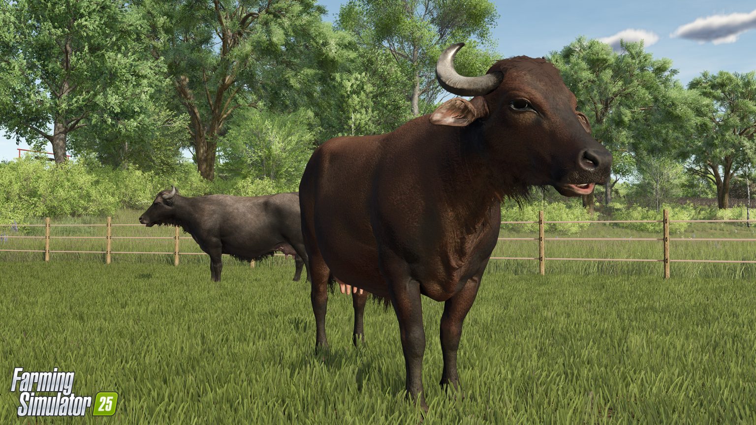 FS25 Water Buffalos + Interview with our Lead Character Artist