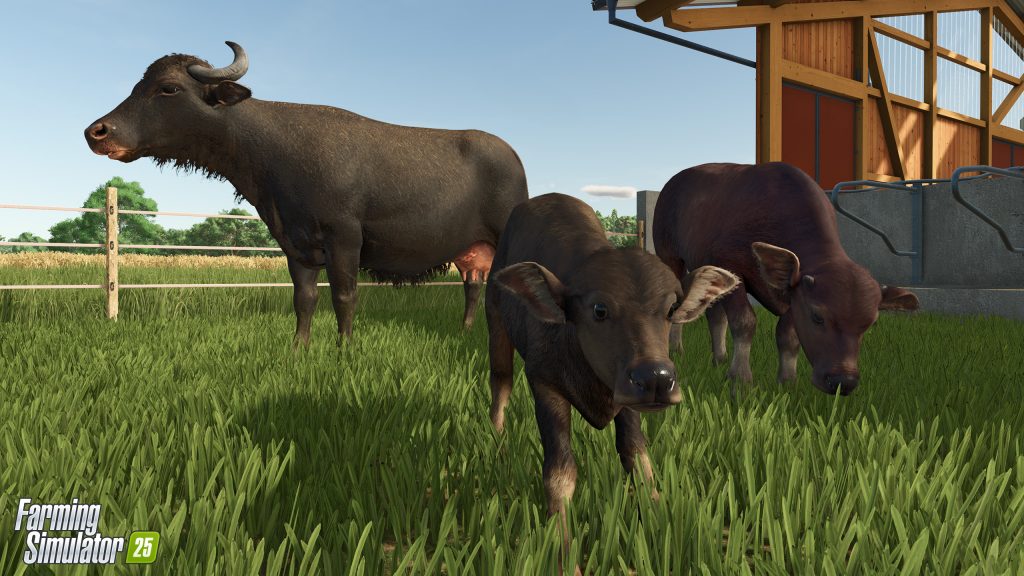 FS25 Water Buffalos + Interview with our Lead Character Artist