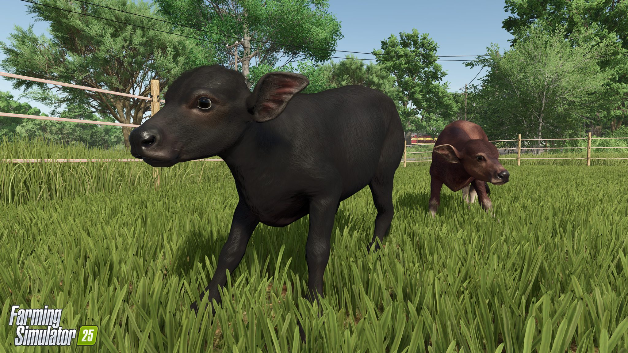 FS25 Water Buffalos + Interview with our Lead Character Artist
